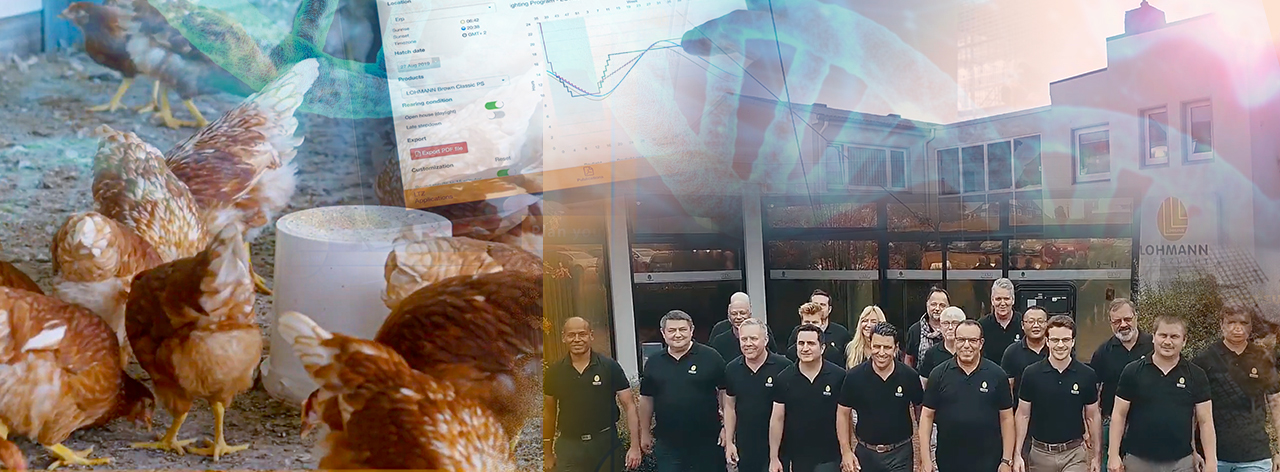 Poultry vision - Lohmann Breeders