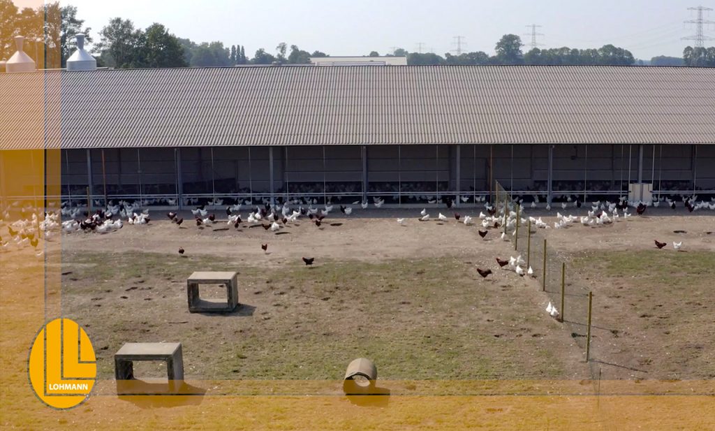 2019 LOHMANN HATCHERY COURSE - Lohmann Breeders