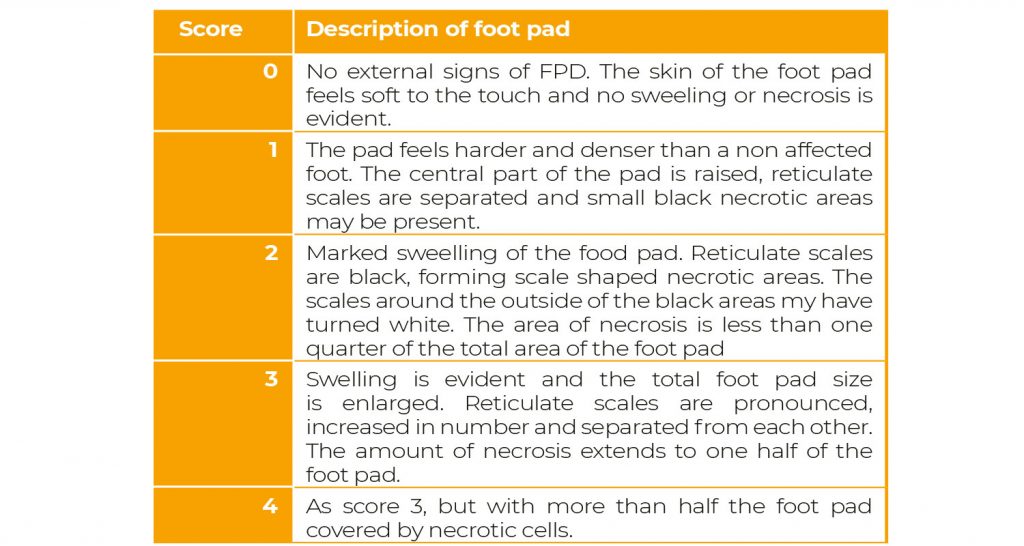 Improvement of welfare in BROILERS and TURKEYS - Lohmann Breeders
