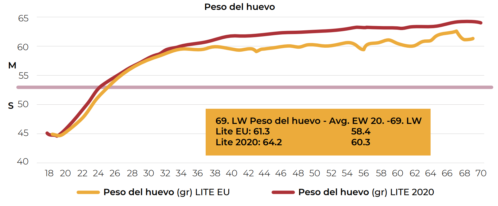 LSL LITE EUROPE - HA NACIDO UNA NUEVA ESTRELLA - Lohmann Breeders
