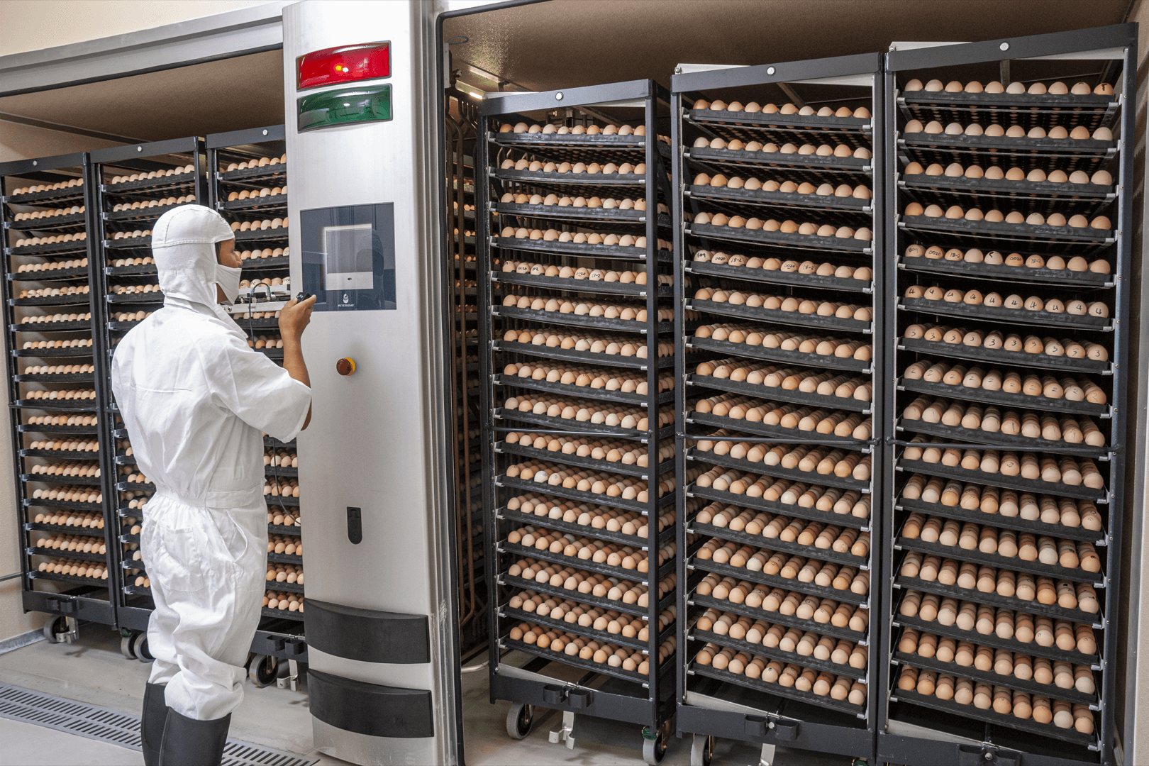 Gender sorting before hatch in poultry - Options and challenges ...