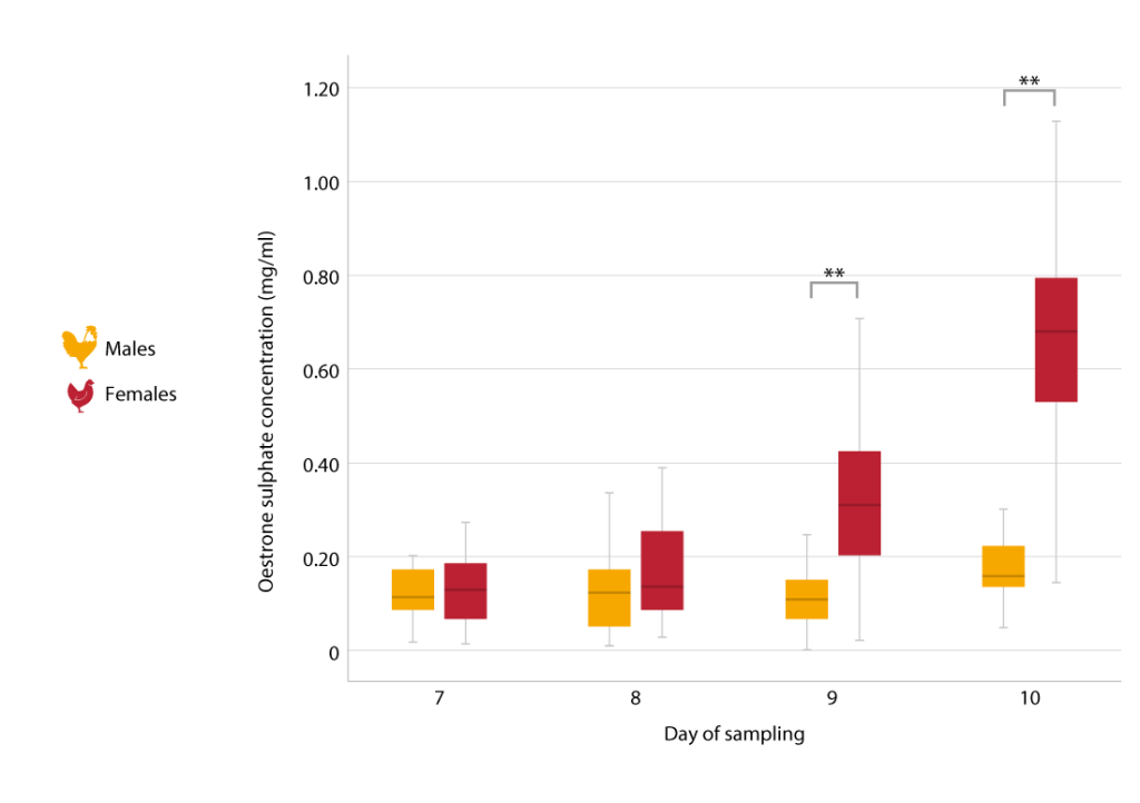 Gender sorting before hatch in poultry - Options and challenges ...