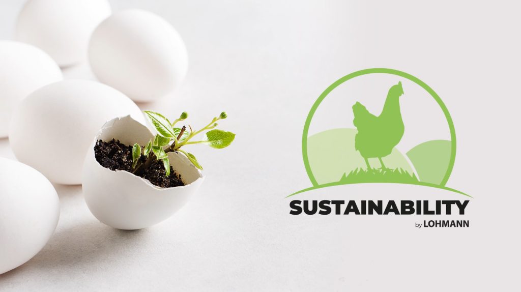 S.P.I.D.E.S. | Hatchery Management - Lohmann Breeders