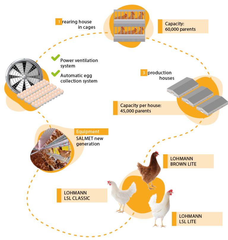 A NEW MILESTONE IN THE SUCCESS STORY OG ARAB POULTRY BREEDERS - Lohmann ...