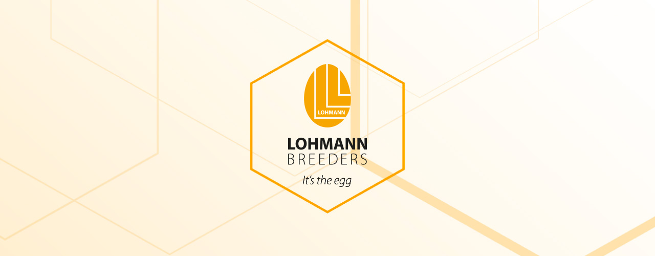 Lohmann Logo